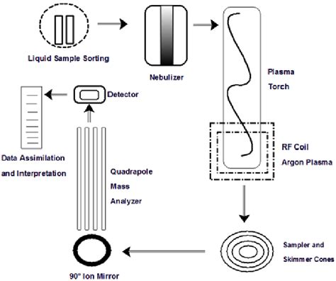 Schematic Of Icp Ms Ms Instrument Utilized For Cereal Cereals Analysis
