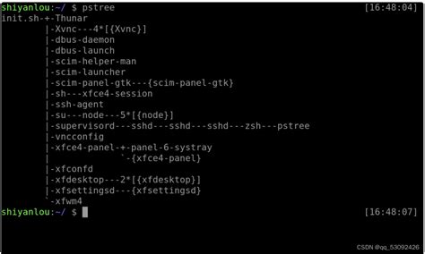 Toppspstree工具介绍及举例 Csdn博客