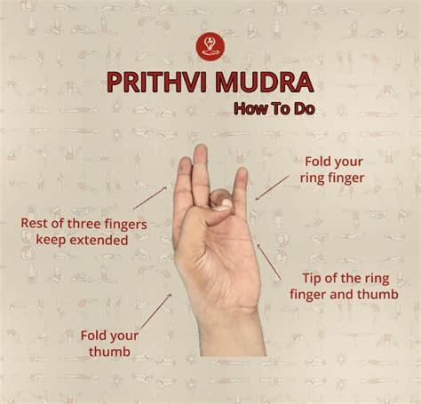 Kirov Reishi Зрялата кожа от която искаме да изглежда млада Можем да противодействаме на