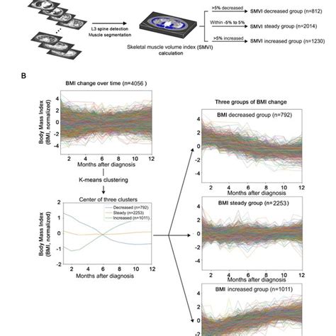 Study Design A The Process Of Skeletal Muscle Segmentation And
