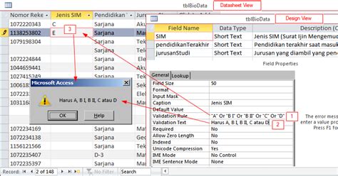 Memahami Properti Validation Rule Dan Validation Text Pada Tabel Di
