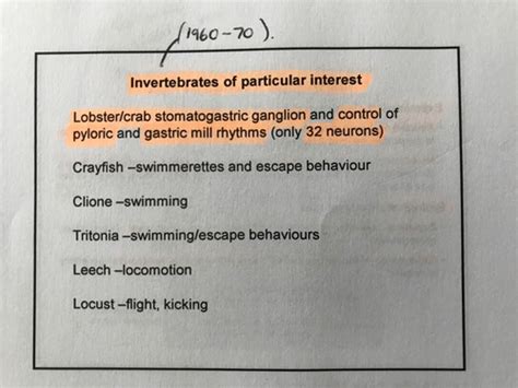 Lecture 11 Central Pattern Generators Cpgs Flashcards Quizlet