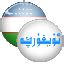 Uyghur Software Developer Network