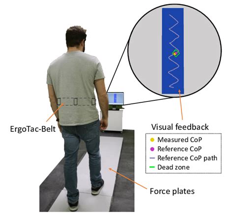 overview of the experimental setup the visual interface employed for