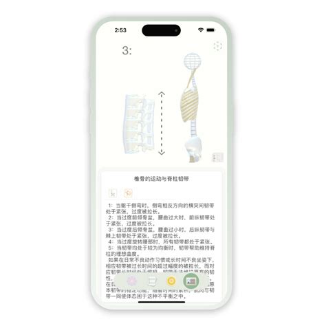 体态指南