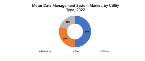 Meter Data Management System Market Size Demand And Growth