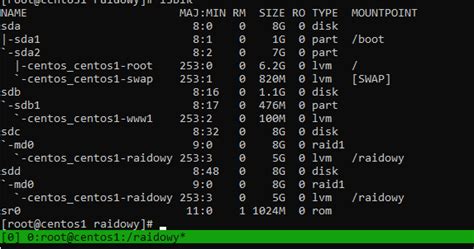 Linux Backquote In Lsblk Output Super User