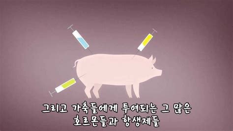 미래의 고기 배양육 인스티즈instiz 이슈 카테고리
