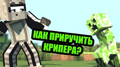 Minecraft Minecraft Mods Майкрафт Моды КАК ПРИРУЧИТЬ КРИПЕРА Youtube