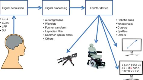 Figure 1 From Brain Computer Interface Technologies From Signal To Action Semantic Scholar