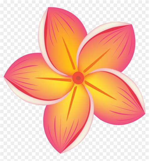 Tropical Flower Png Free