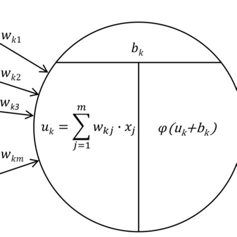 A Nonlinear Model Of A Neuron Download Scientific Diagram