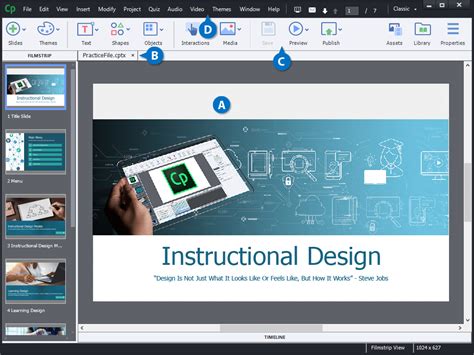 The Captivate Interface CustomGuide