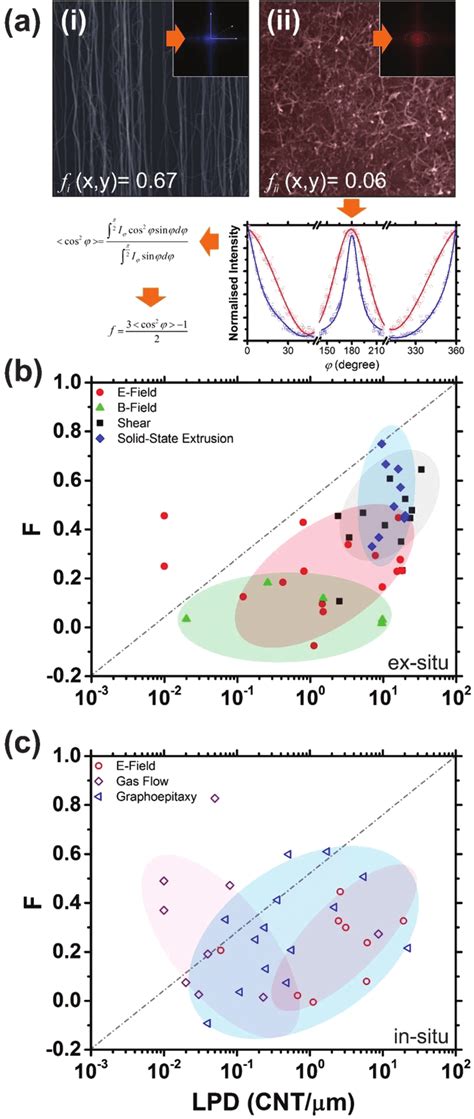 a degree of alignment quantification example scanning electron