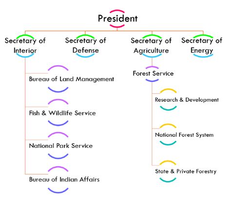 Forest Administrative Hierarchy System In The United States Source