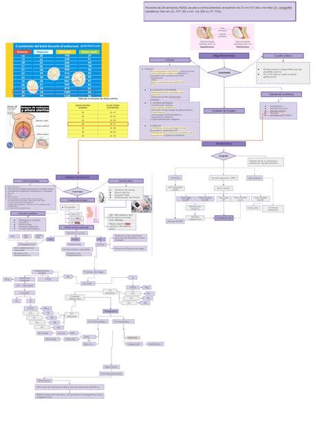 Algoritmo Notemedic UDocz Algoritmo Notemedic UDocz