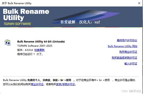 批量文件重命名工具 Bulk Rename Utility 64位 V4004 绿色汉化版 Csdn博客