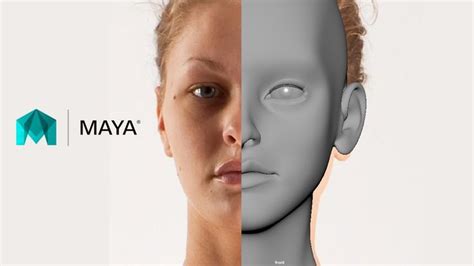 Learn Maya Character Head Modeling For Beginners Udemy Course 100 Off