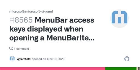 Menubar Access Keys Displayed When Opening A Menubaritem With All Its