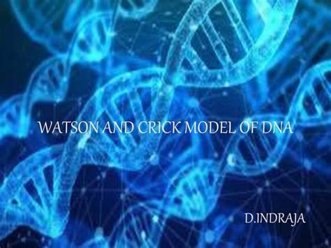 Watson And Crick Model Of Dna Ppt