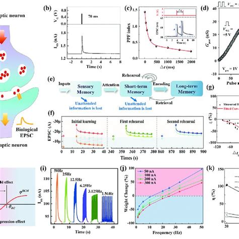 Heterosynaptic Plasticity Emulated With Egts A Schematic