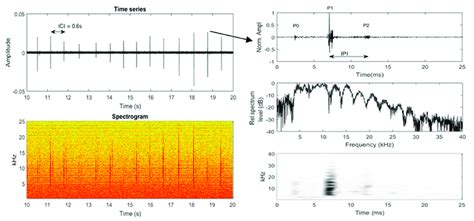 Typical Sperm Whale Acoustic Signal A Click Train And Spectrogram