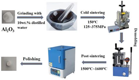 The Schematic Figure Of The Sample Preparation Procedure Download