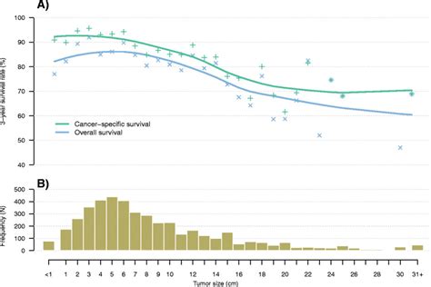 Size Of Gist And Survival In Cm0 Gist Patients Panel B Displays The Size Of Gist And Survival In Cm0 Gist Patients Panel B Displays The