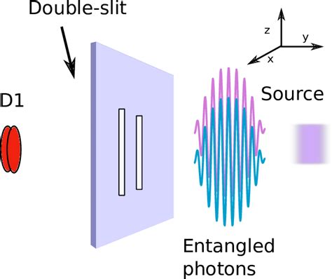 Schematic Diagram For Youngs Double Slit Experiment With Entangled Download Scientific Diagram
