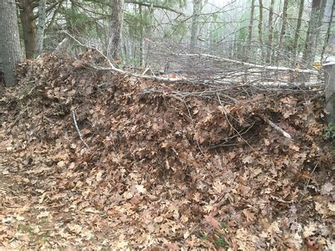 Building A Privacy Burm For Free 3 Steps With Pictures Instructables