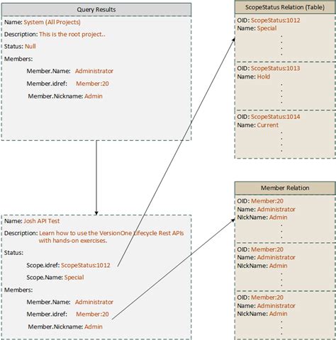 Exercise 3 Query A Scope Project For Specific Attributes · Digitalai Agility