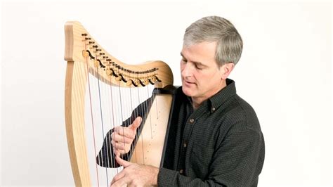 Beginner S Guide To Harps Dusty Strings