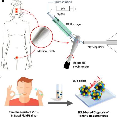 Paper Based MTT Assay Schematic For Sperm Testing A The Mechanism Of Download Scientific