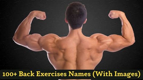 100 top back exercises names with images