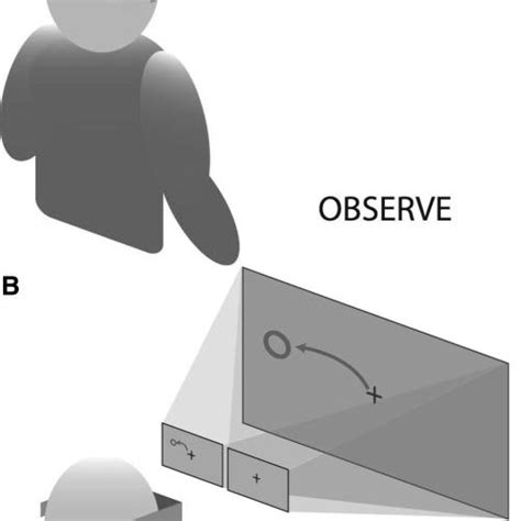 Viewing Arrangement For The Dichoptic Presentation Of Test A And