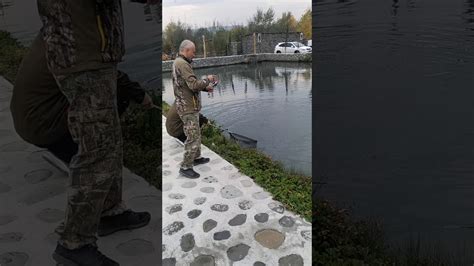 Rancho Variani Spinning ვარიანის რანჩო სპინინგი Youtube