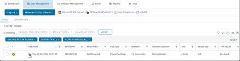 Create Sql Server Repurpose Copies Dell Apex Block Storage For Aws