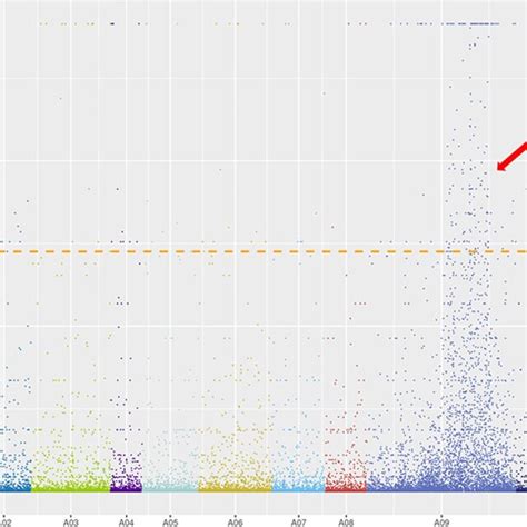 Observation Of The Leaf Epidermal Cells By Scanning Electron Microscopy