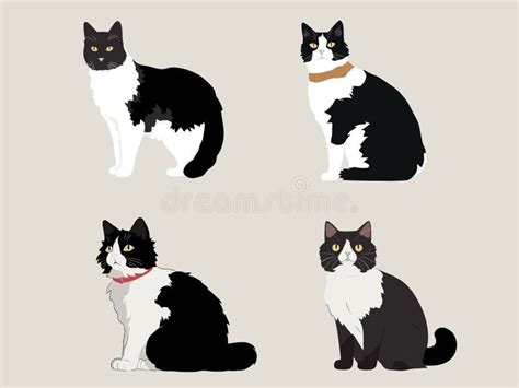 Illustration Of Graceful Japanese Bobtail Cat Exquisite Feline Artwork Stock Vector