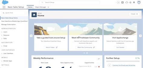 The Basics Of Essentials Salesforce Com