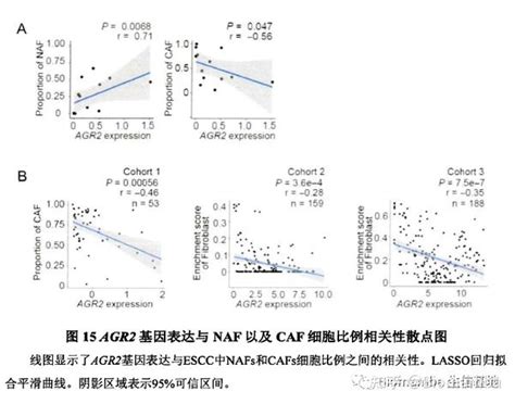 单细胞测序做到啥程度能毕业 博士篇 知乎
