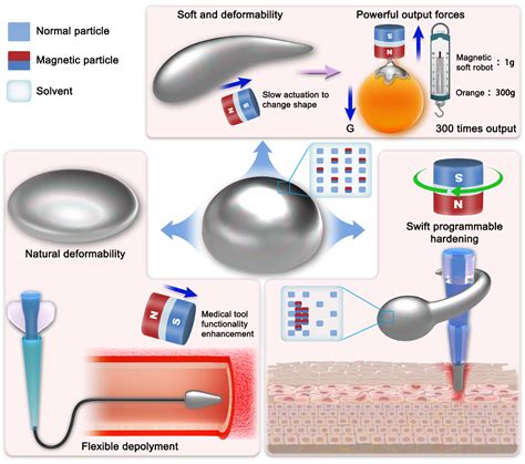 Smnsl Research Faculty Of Science And Technology