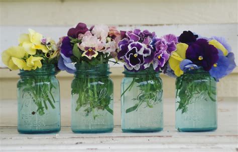 Lms Learning Analytics In 2019 An Update Mjr Learning Consultancy Ltd