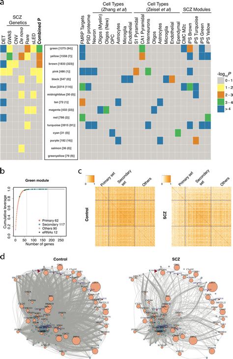 Co Expression Network Analysis A Rank Of Modules Based On A Combined Download Scientific