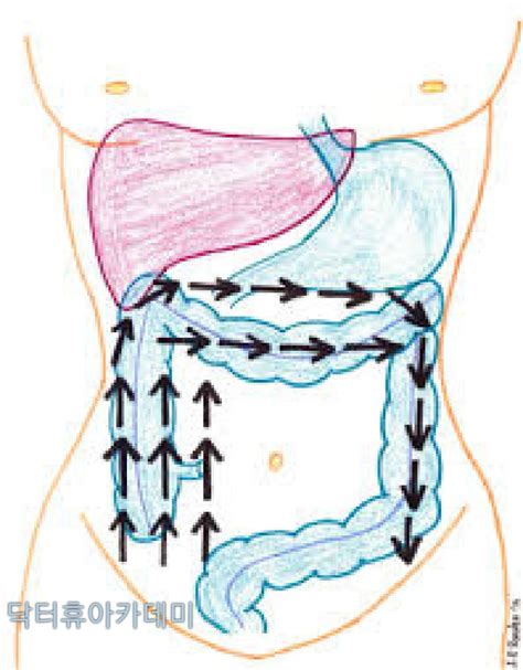 배마사지의 중요성 하루에 한 번만이라도 배마사지를 한다면 실로 어마어마한 혜택을 누리게 될 것이다 통증이 있을 때 배마사지를 하 닥터휴아카데미 Cst