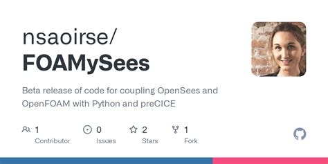 Github Nsaoirsefoamysees Beta Release Of Code For Coupling Opensees