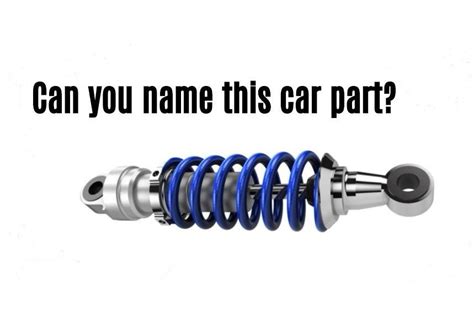 Can We Accurately Guess Your Gender Based On Random Questions