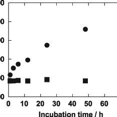 Average Diameters Of Fe O SiO Core Shell Particles As A Function Of Download Scientific