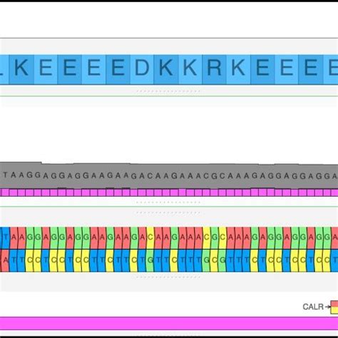 Type 2 Calr Mutation 5 Bp Insertion Snapshot Download Scientific Diagram