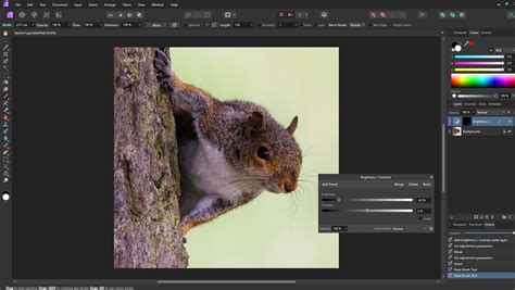 Adjustment Layer Inversion Affinity On Desktop Questions Macos And